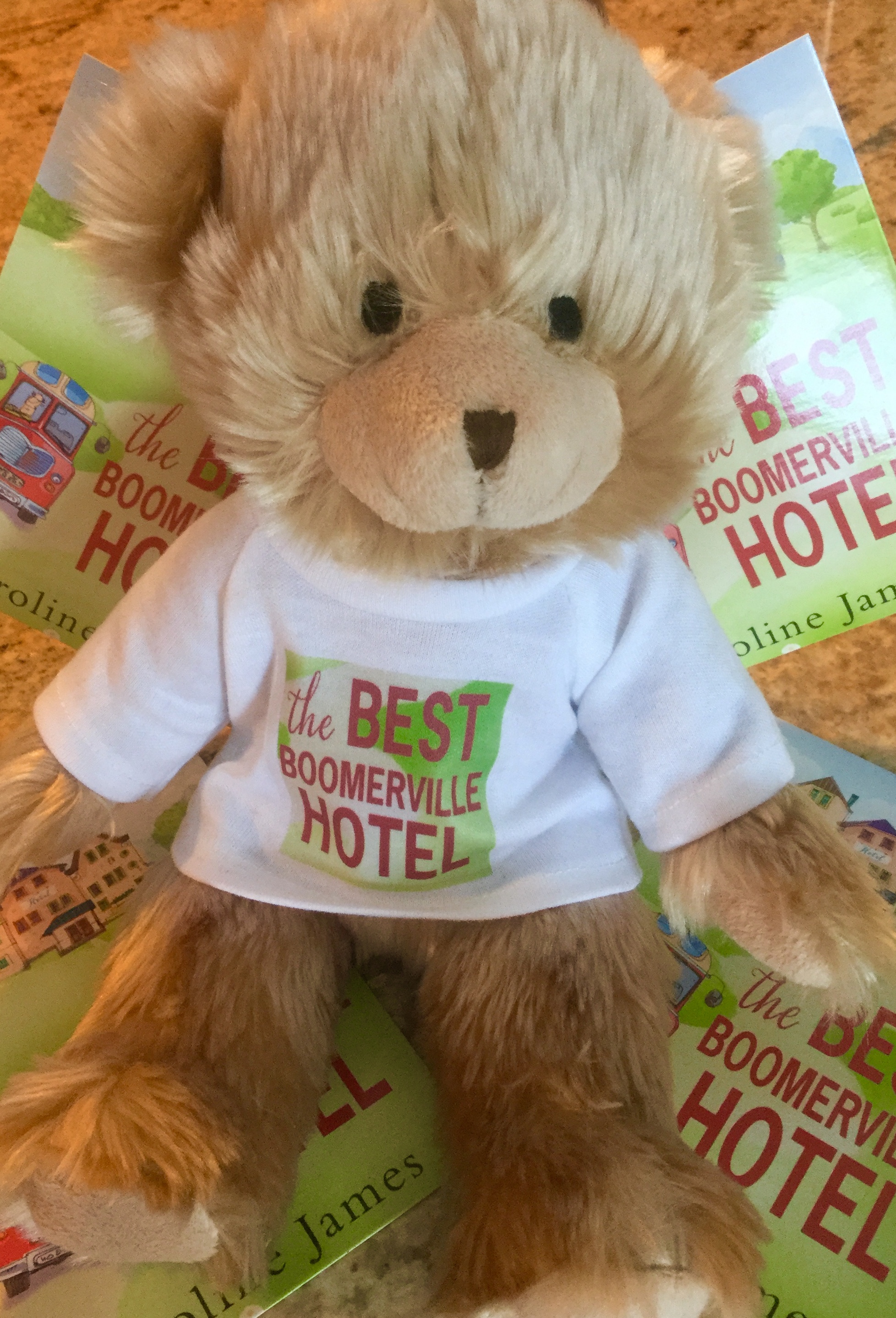 Introducing the Boomerville Bear Family… – Caroline James Author